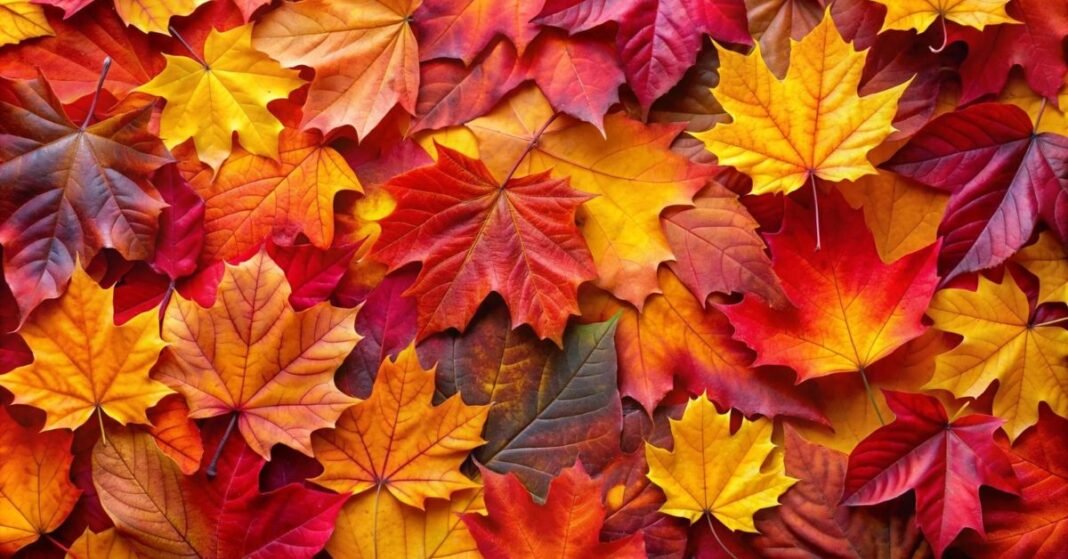 Tendencias de moda otoño-invierno 2025-2026: Colores y accesorios que ...